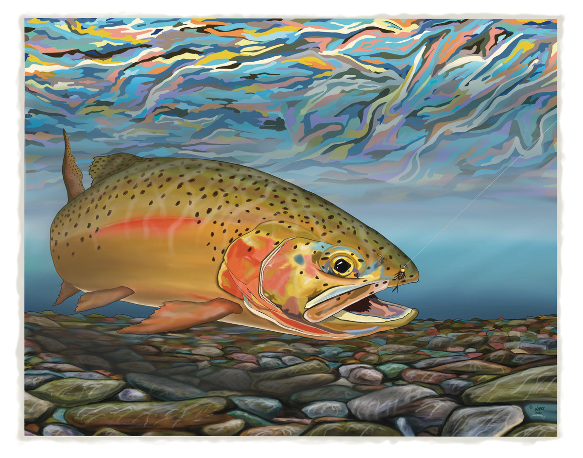 Rainbow Nymph Fish Print – TroutMountainWorks