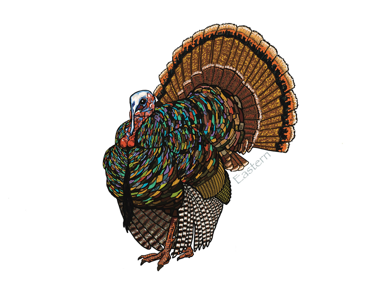 #6.52 Eastern Turkey Sticker – TroutMountainWorks
