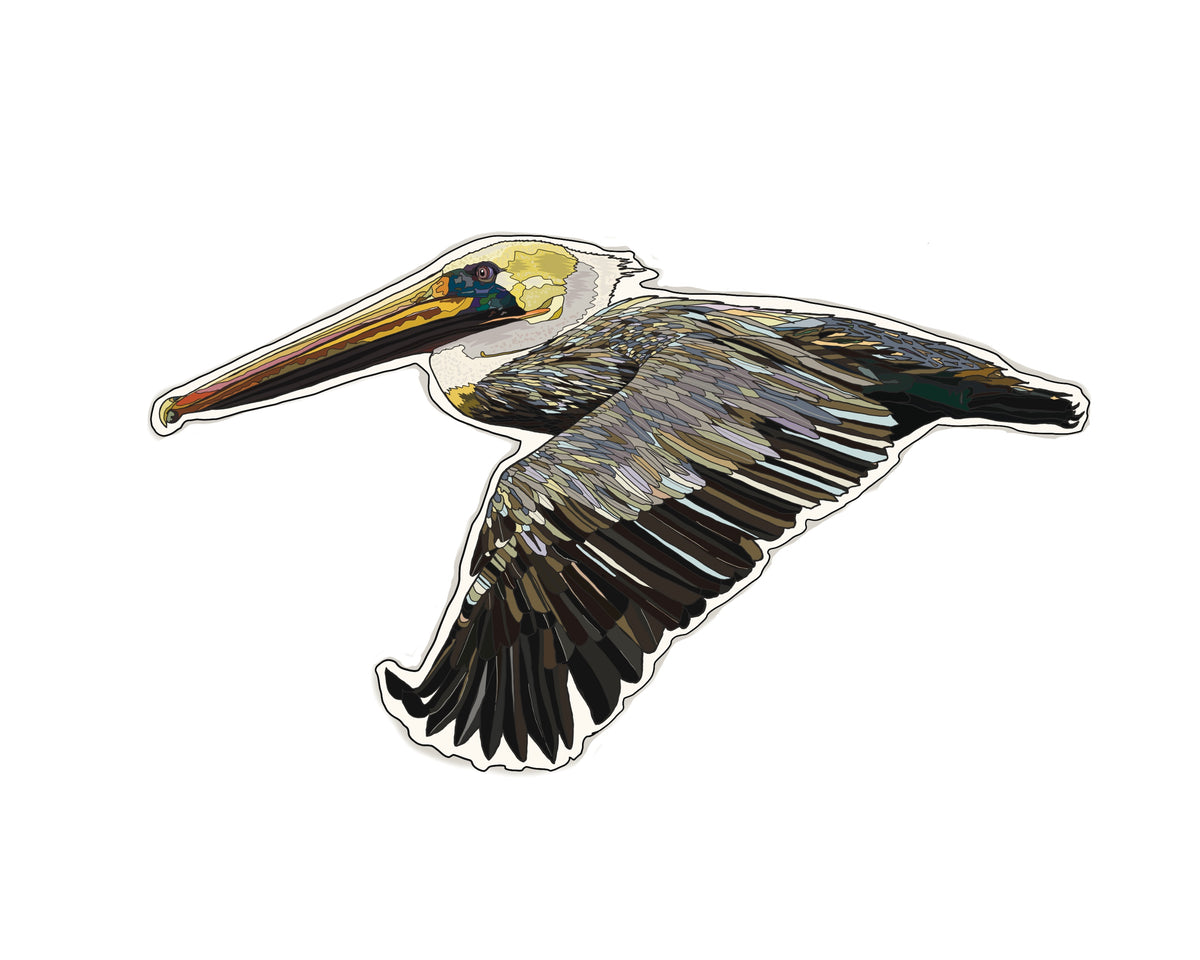 #6.42 Pelican Sticker – TroutMountainWorks