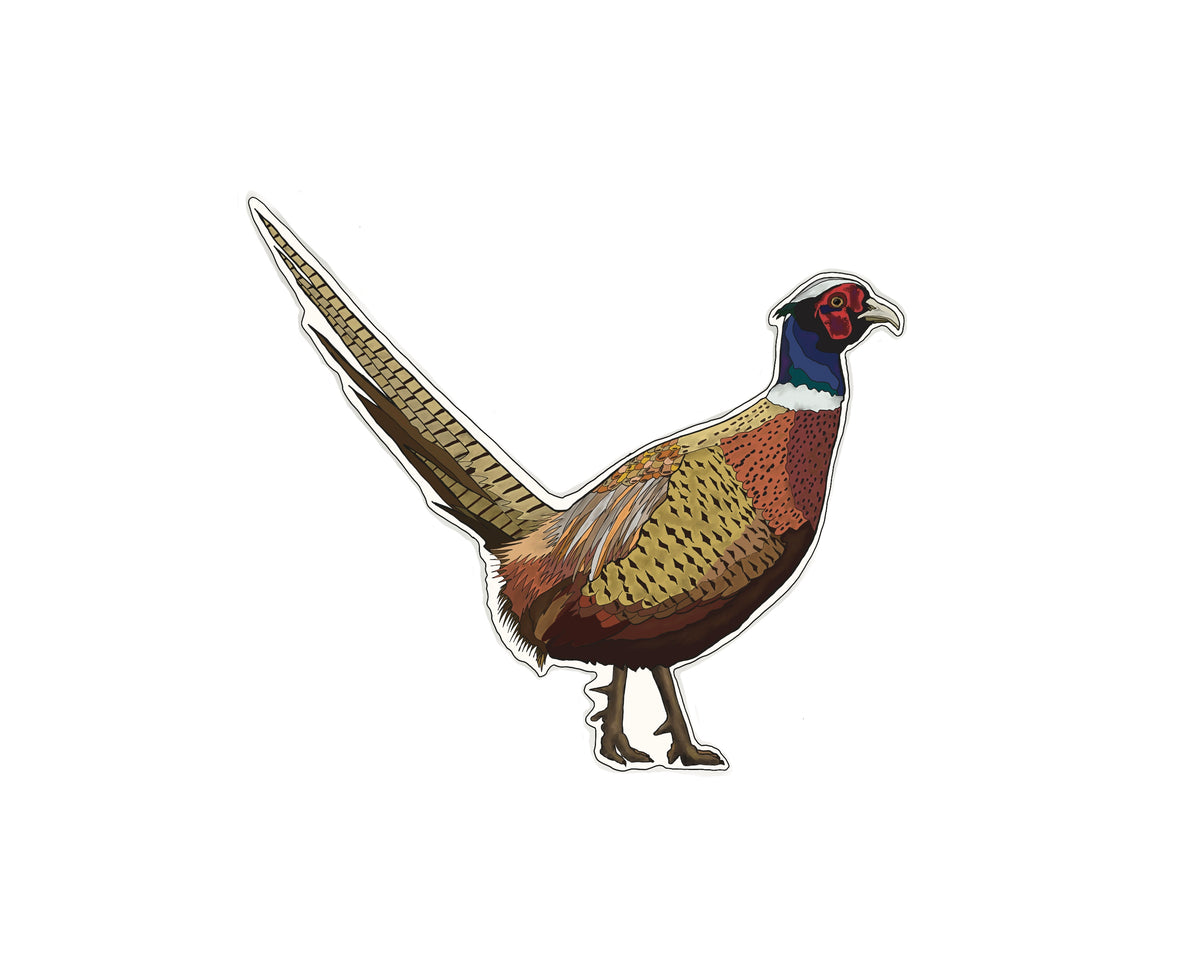 #9.4 Pheasant Bird Sticker – TroutMountainWorks