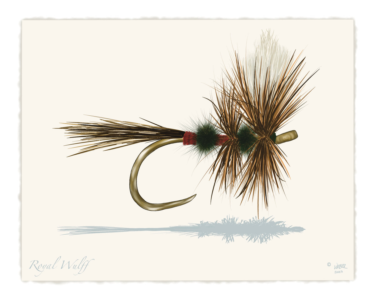 Royal Wulff Dry Fly Fishing Print – TroutMountainWorks