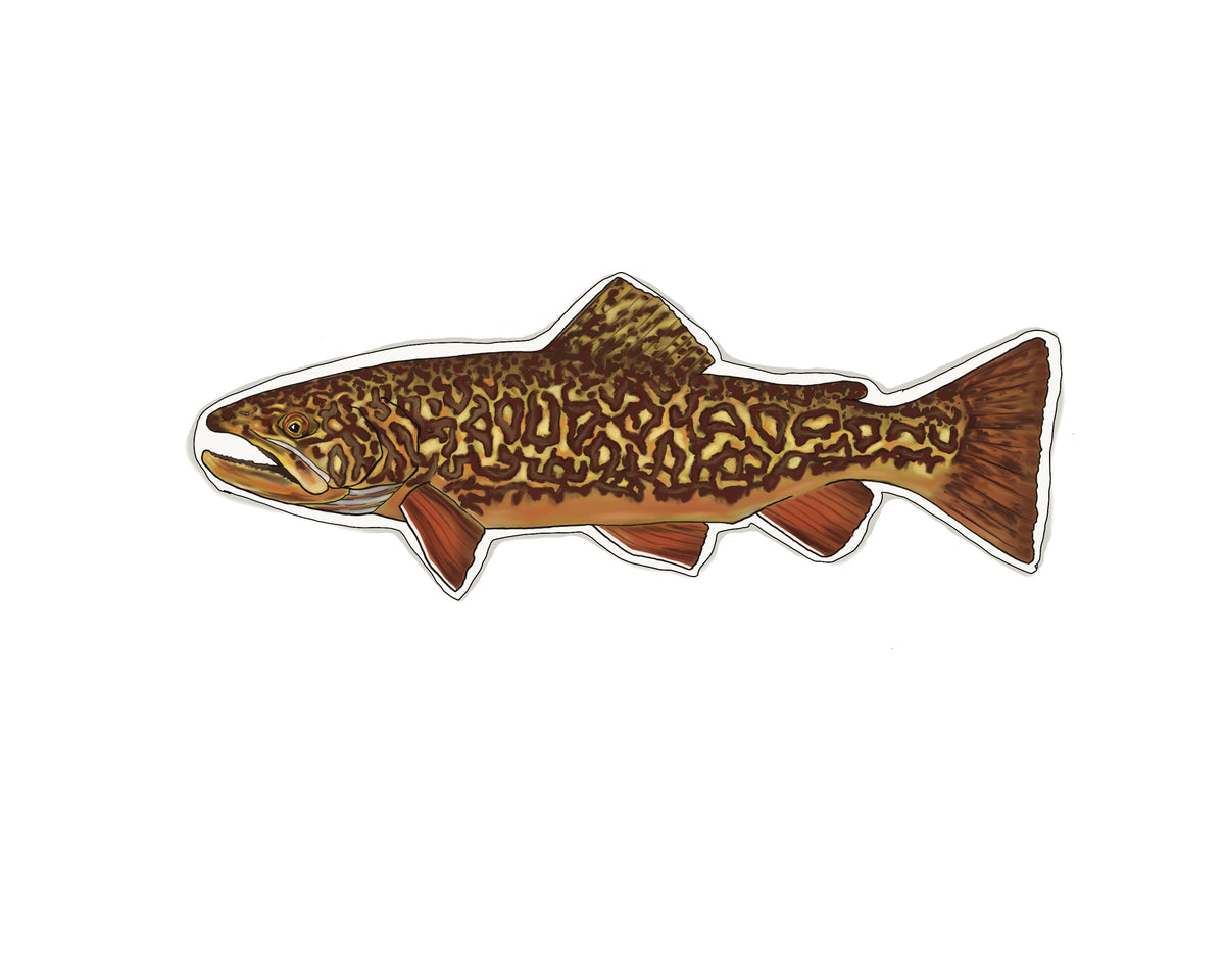 #1.5 Tiger Trout Fish Sticker – TroutMountainWorks