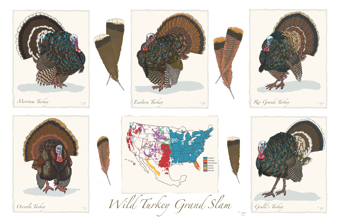 Turkey Grand Slam Print – TroutMountainWorks