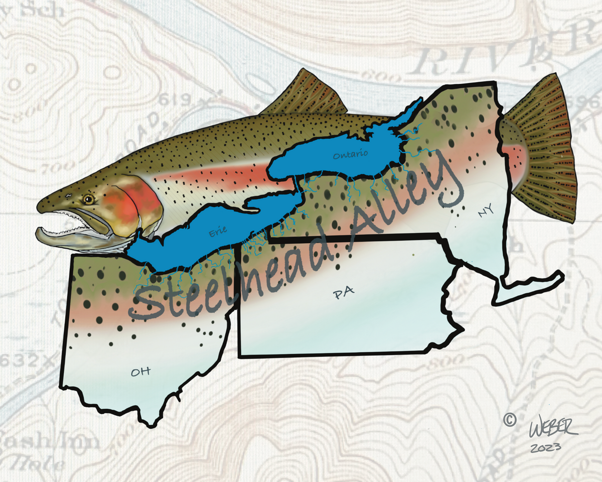 Steelhead Alley Print – TroutMountainWorks