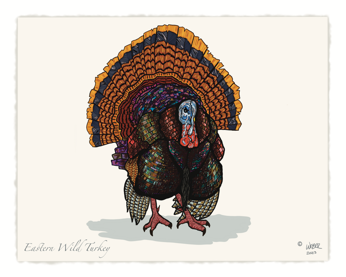 Wild Turkey Print – TroutMountainWorks